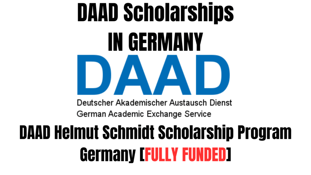 How To Apply For The DAAD Helmut Schmidt Scholarship Program 2024 In ...